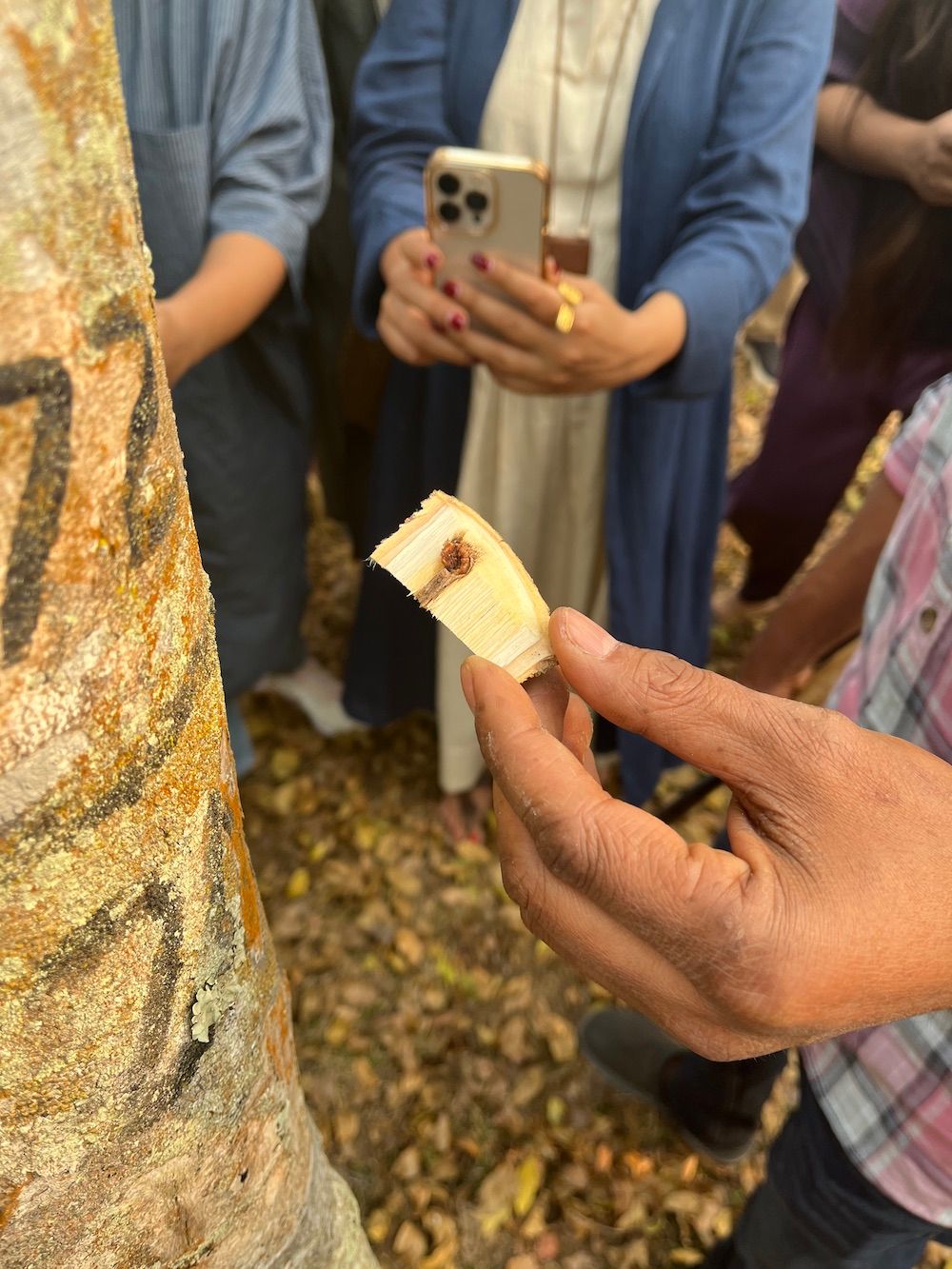 Ajmal Perfumes narrating the tale of Oudh from India to the world!