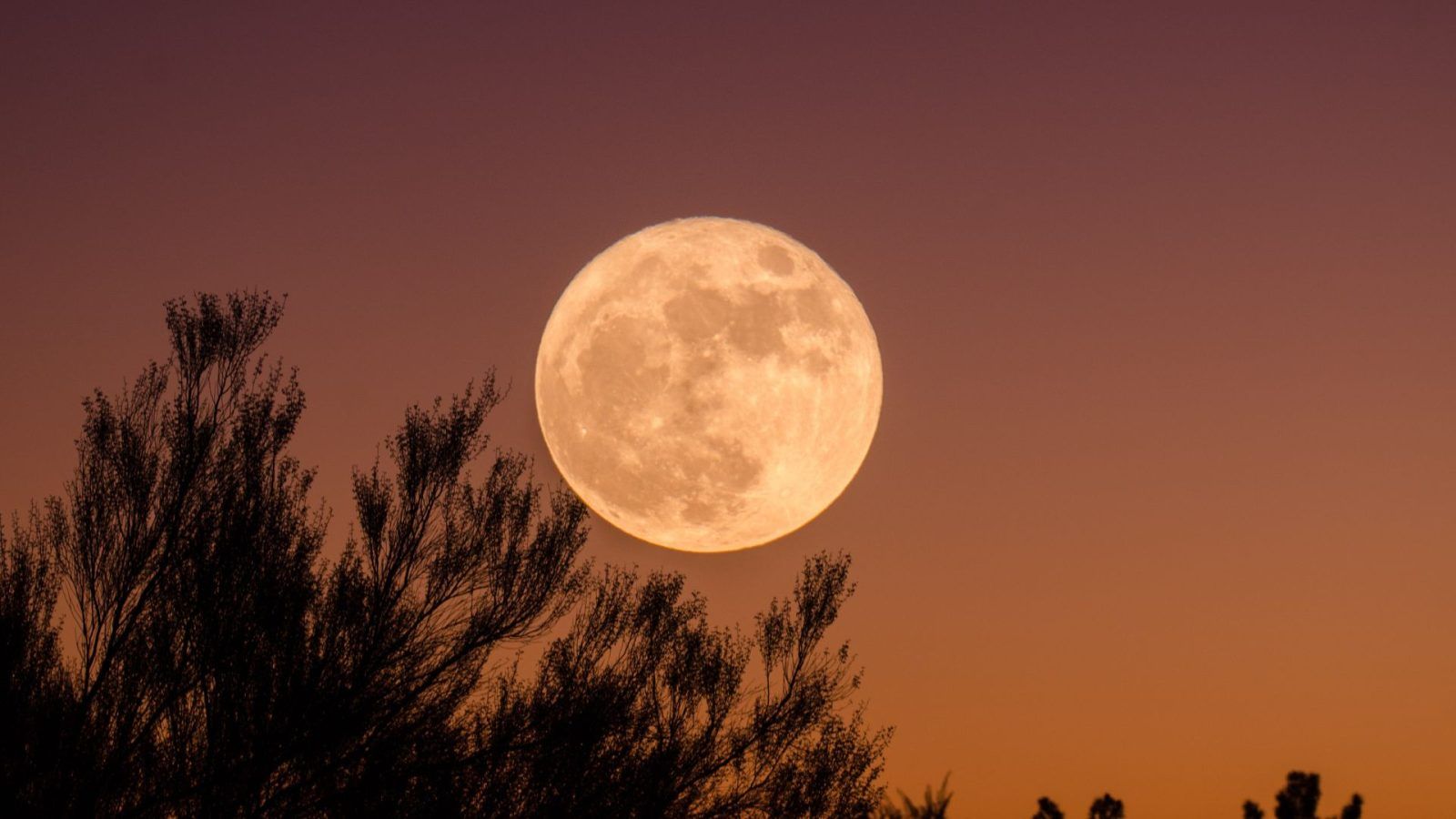 March full moon 2023: Everything to know about the worm moon