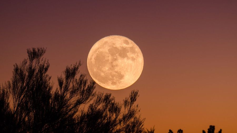 March full moon 2023: Everything to know about the worm moon