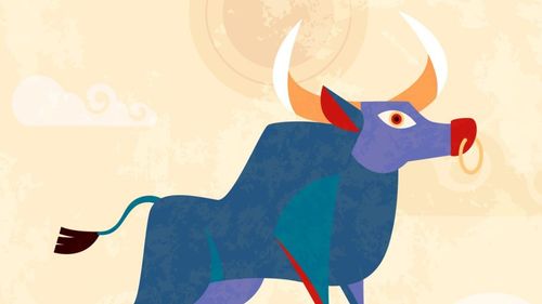 Lucky colours based on your Chinese zodiac sign