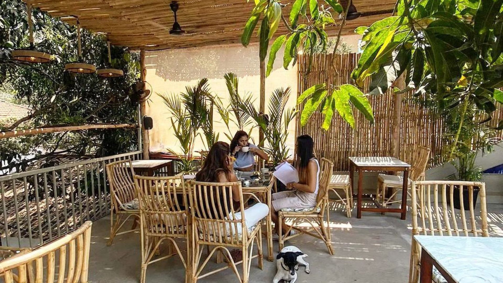 Best new cafes in Goa - February 2023