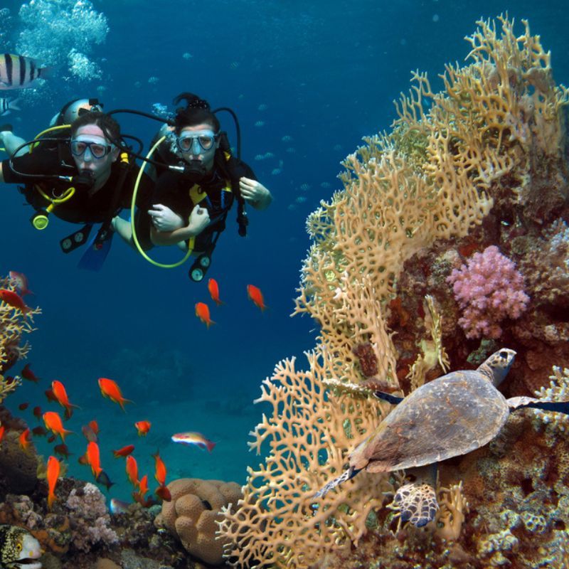 Things to do in Goa: Bookmark the ultimate travel guide