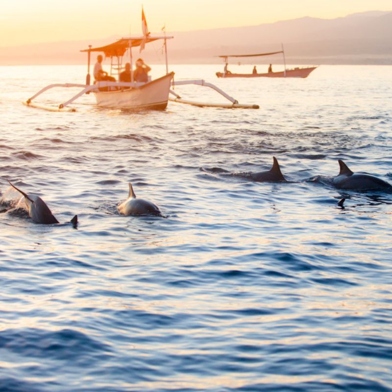 Things to do in Goa: Bookmark the ultimate travel guide