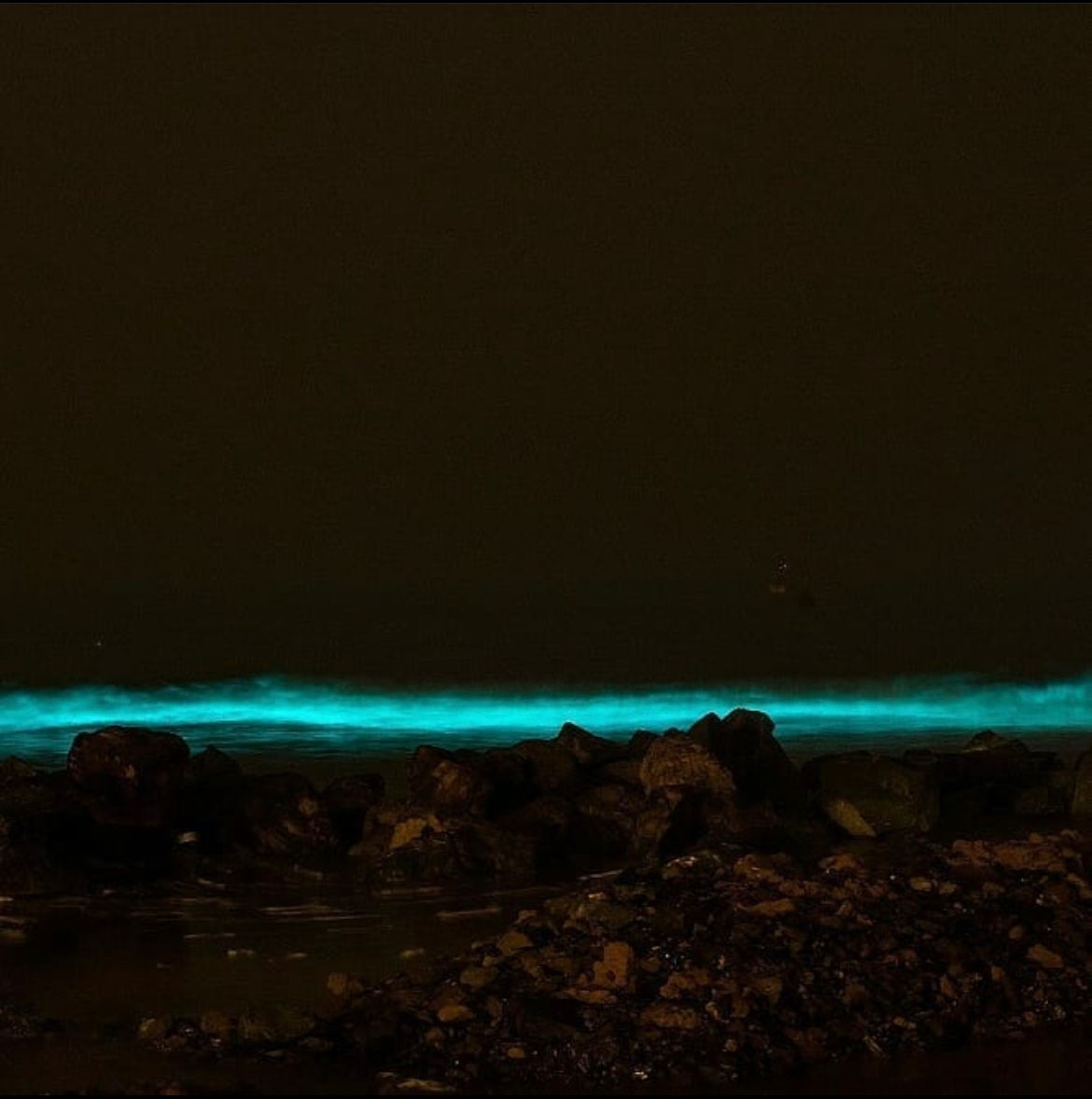 Bioluminescence casting its magic on the bays.