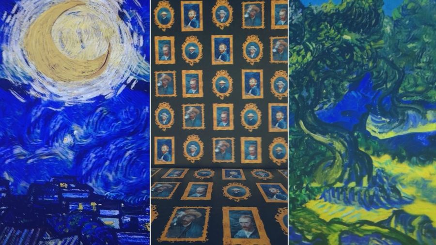 Van Gogh 360 Delhi edition: You can now visit the exhibition till 11 June