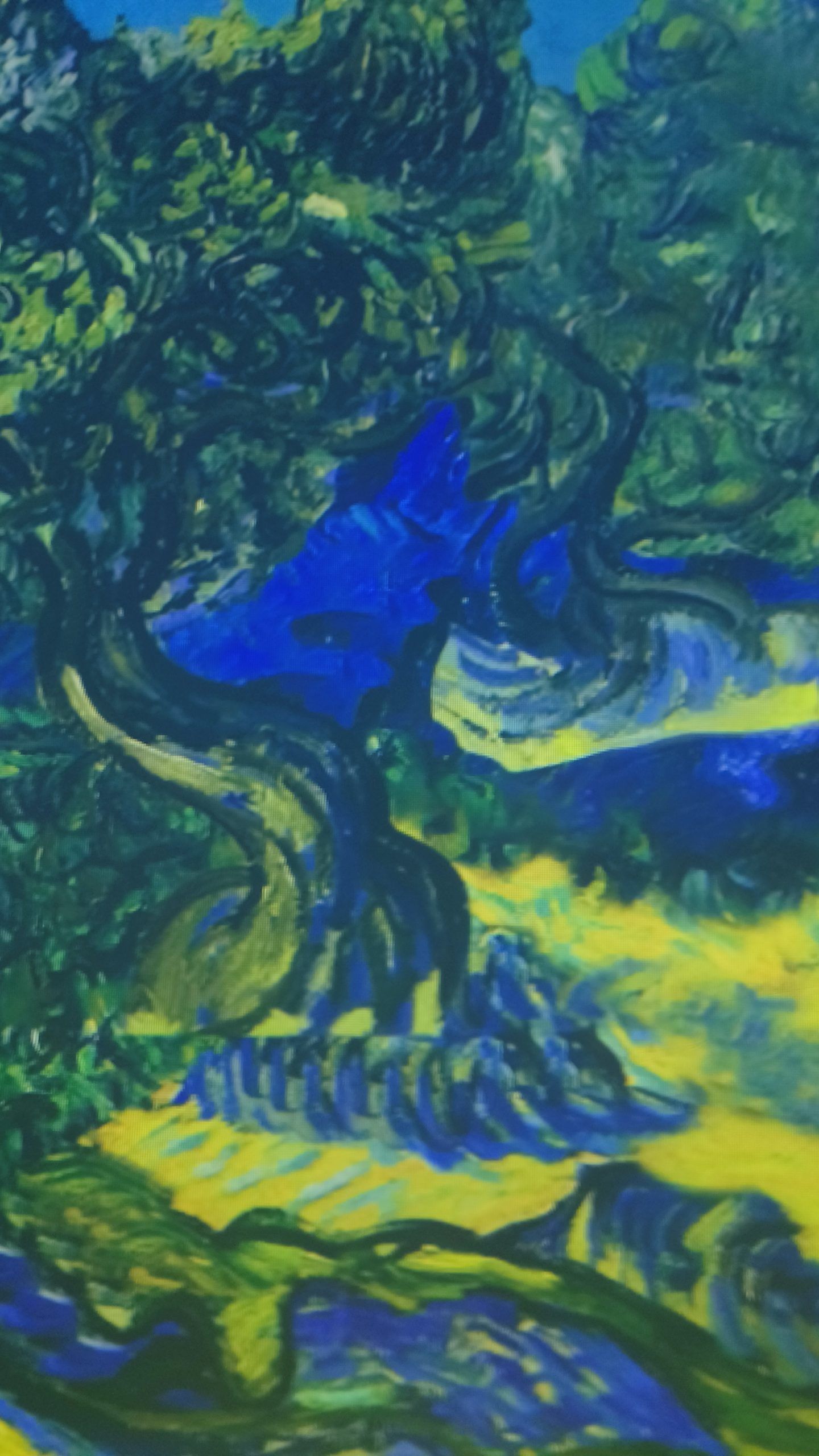 Van Gogh 360 Delhi edition: You can now visit the exhibition till 11 June