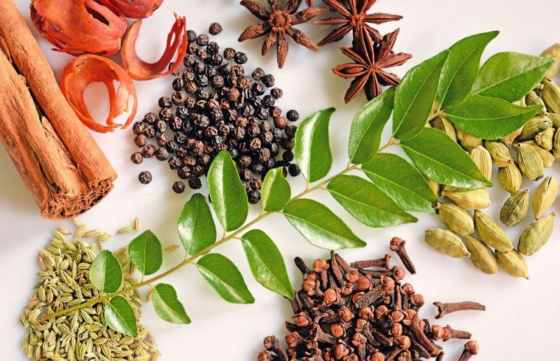 Learn about the many benefits of consuming curry leaves
