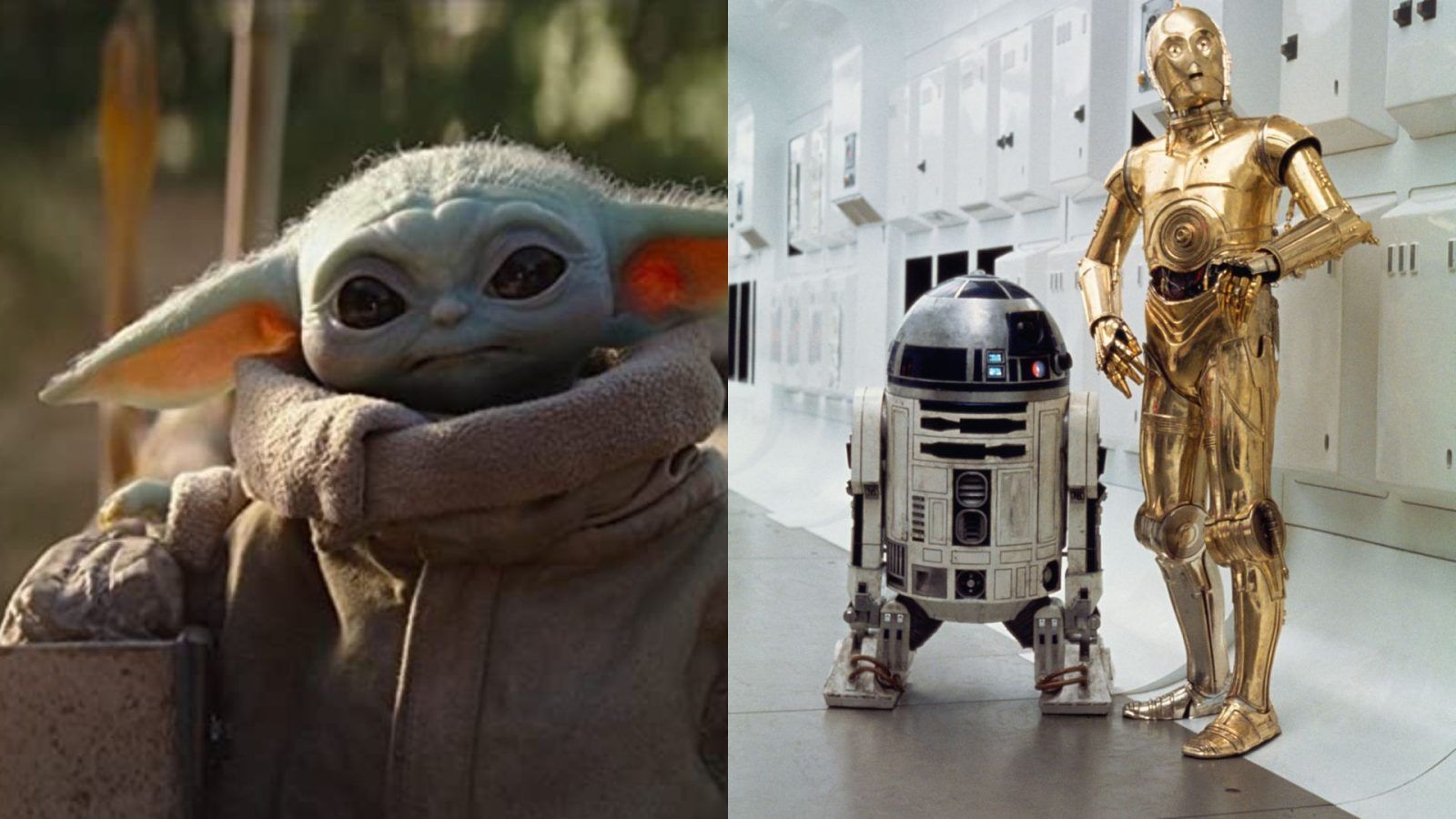 Star Wars memes that are the most hilarious in all galaxies