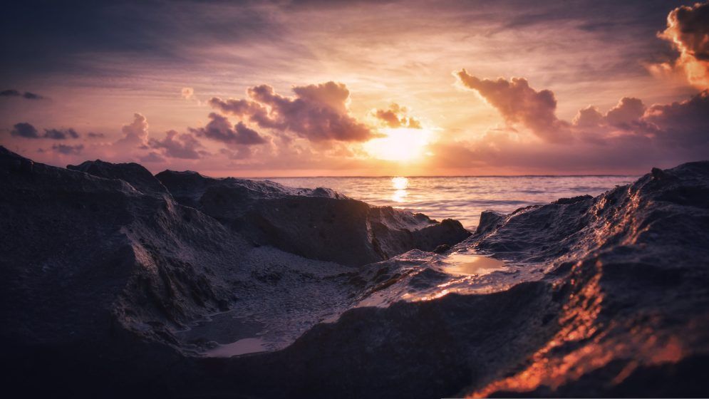 Zodiac signs you're most likely to find at the beach this summer