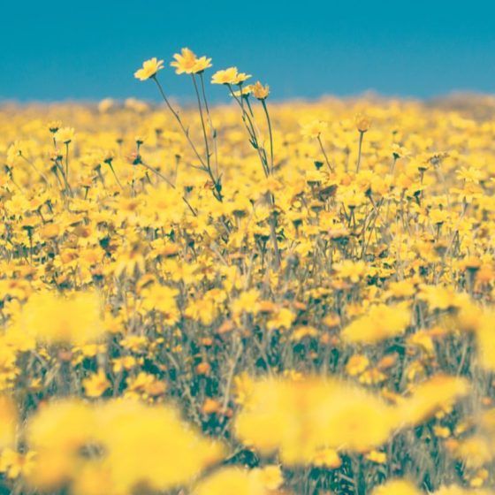 Know everything about your lucky colour based on numerology