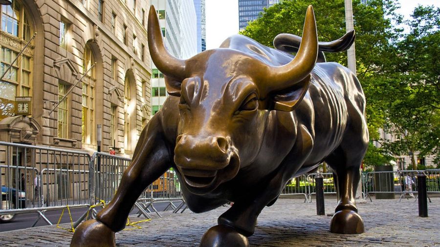 Stock market animal symbols that describe every type of investor