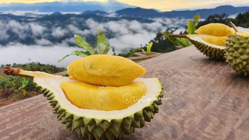 Best places that serve durian in Kuala Lumpur and Selangor