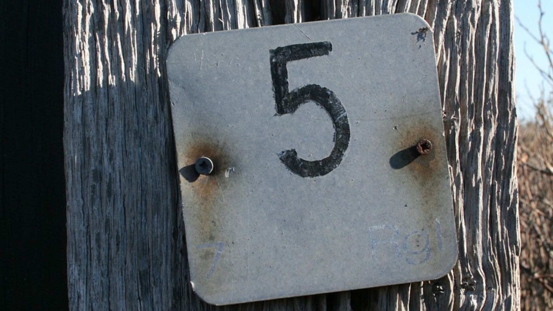 Check out your lucky car number according to numerology