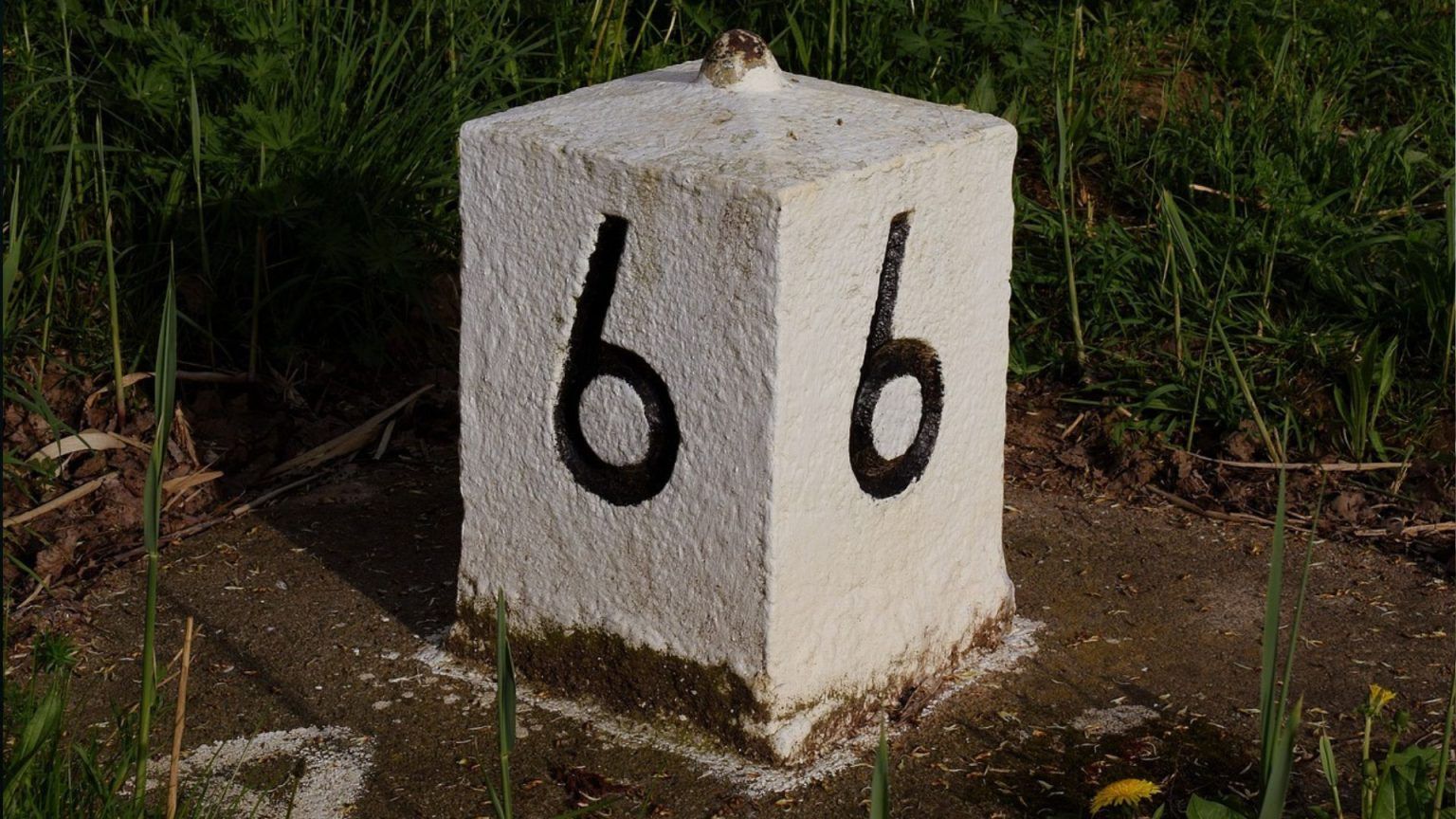 Check out your lucky car number according to numerology