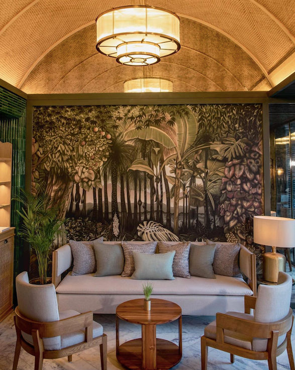 The Discover Collection is a members-only club in Delhi for wellness