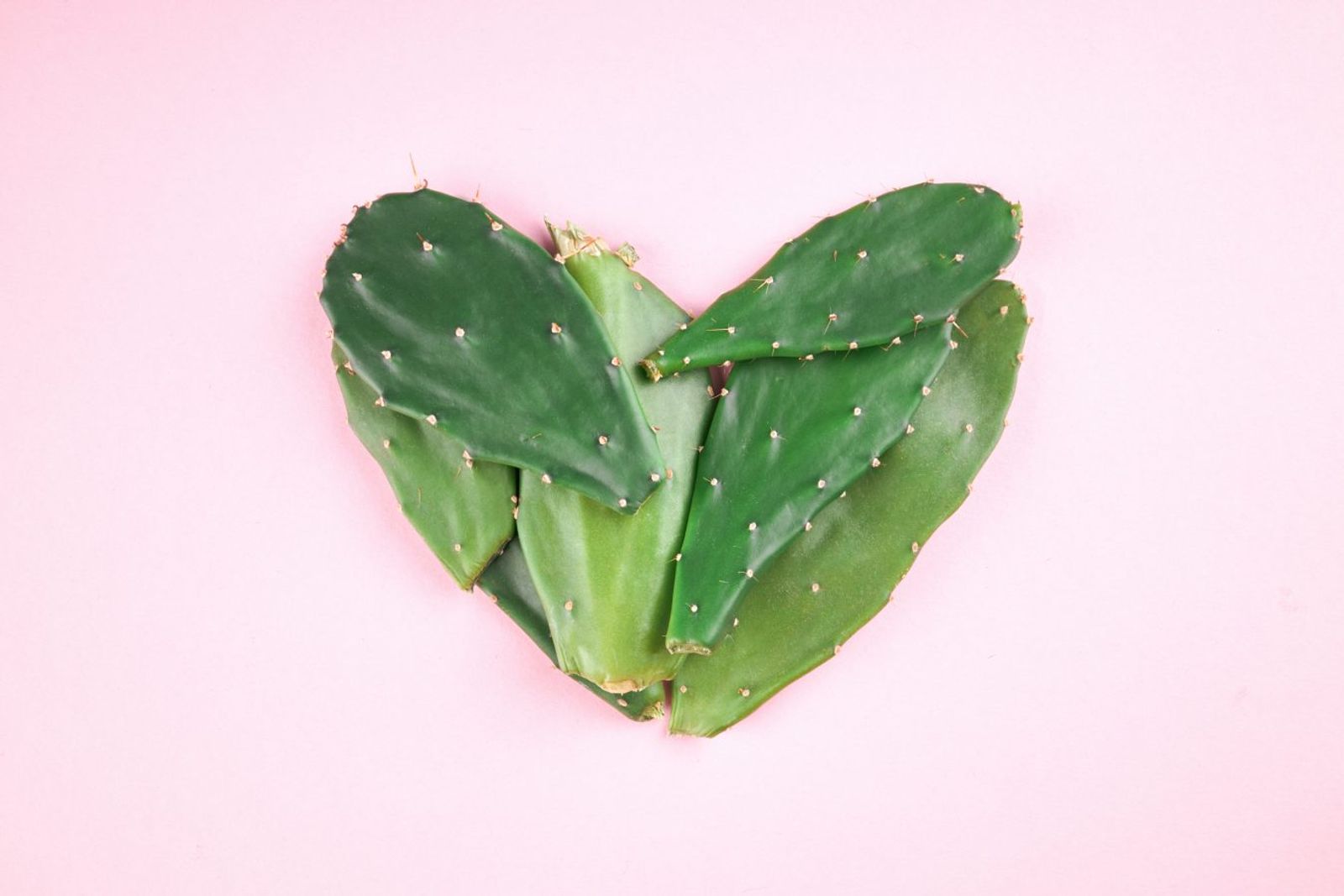 Here's all you need to know about cactus skincare products