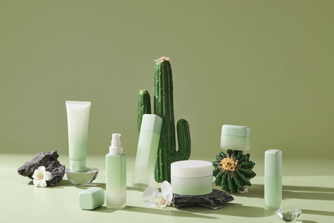 Here's all you need to know about cactus skincare products
