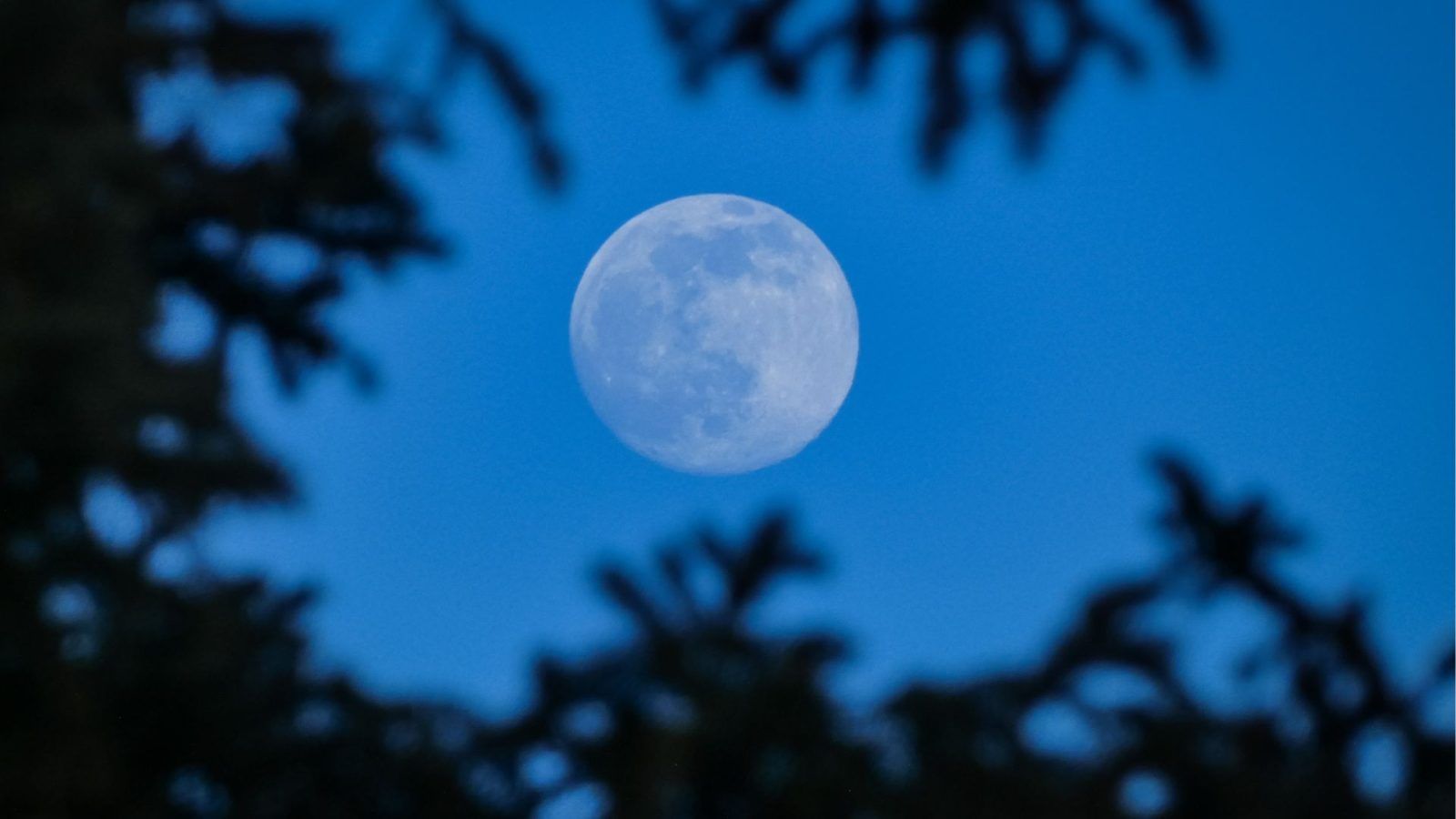 How to watch the blue supermoon in August 2023