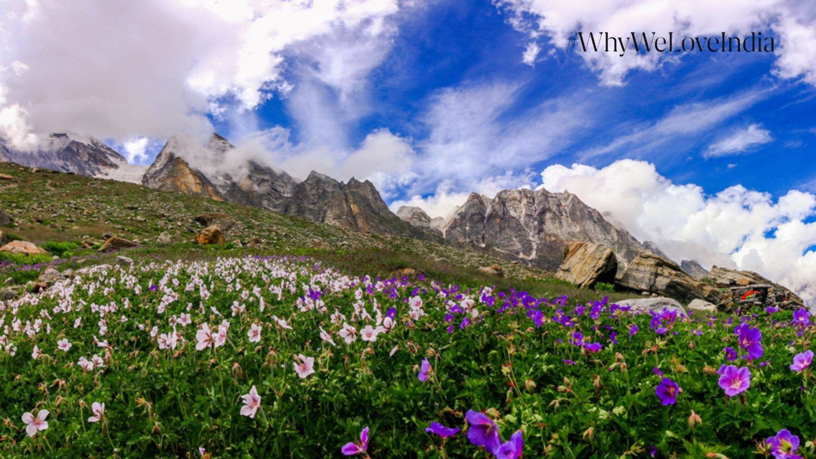 Valley of Flowers trekking guide