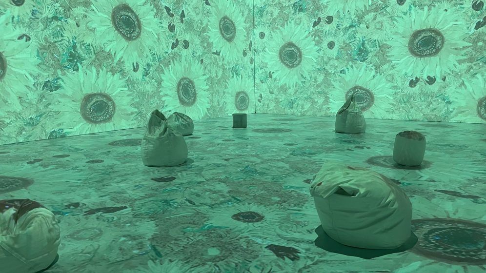 Van Gogh 360 immerses Bangalore in starry skies and sunflowers