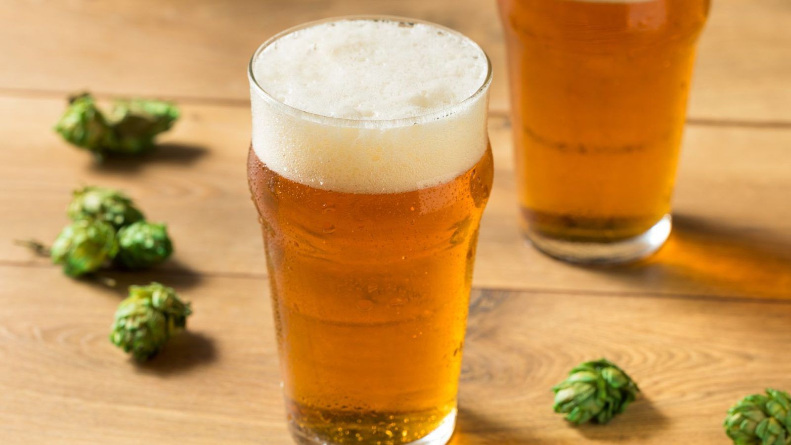 IPA beers that are worth hopping over to the nearest store for