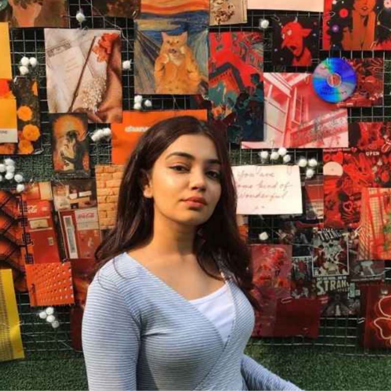 Alia Bhatt Book: Where to buy 'Ed Finds a Home' online