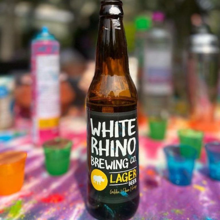 Budget brews: Best Indian beer options under price 150