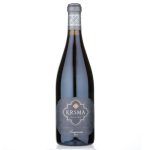 Best red wines in India under INR 1000 for a grape collection on a budget