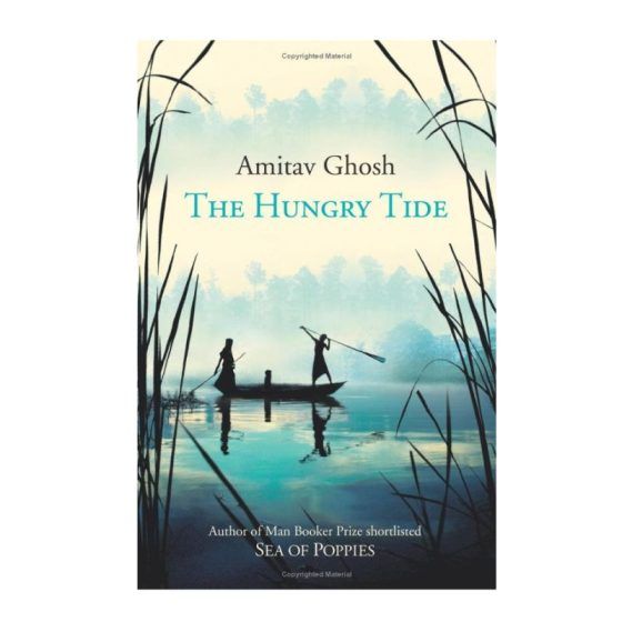 These are the best Indian novels of all time to read