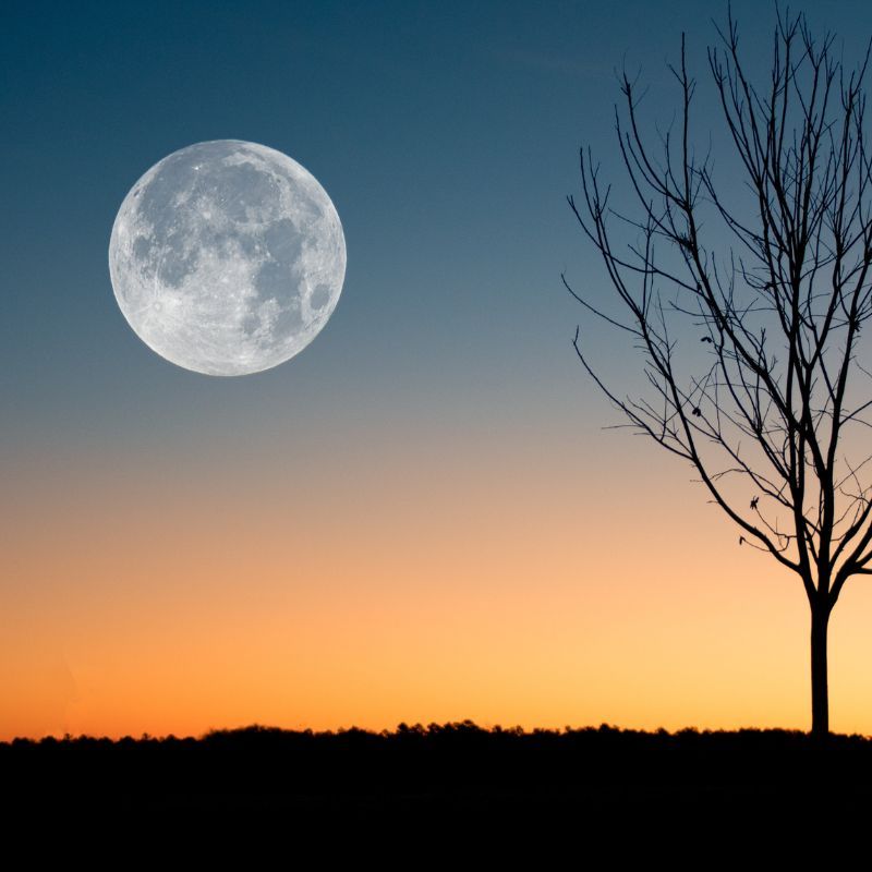 All about the full hunter's moon of October and its effects on zodiacs