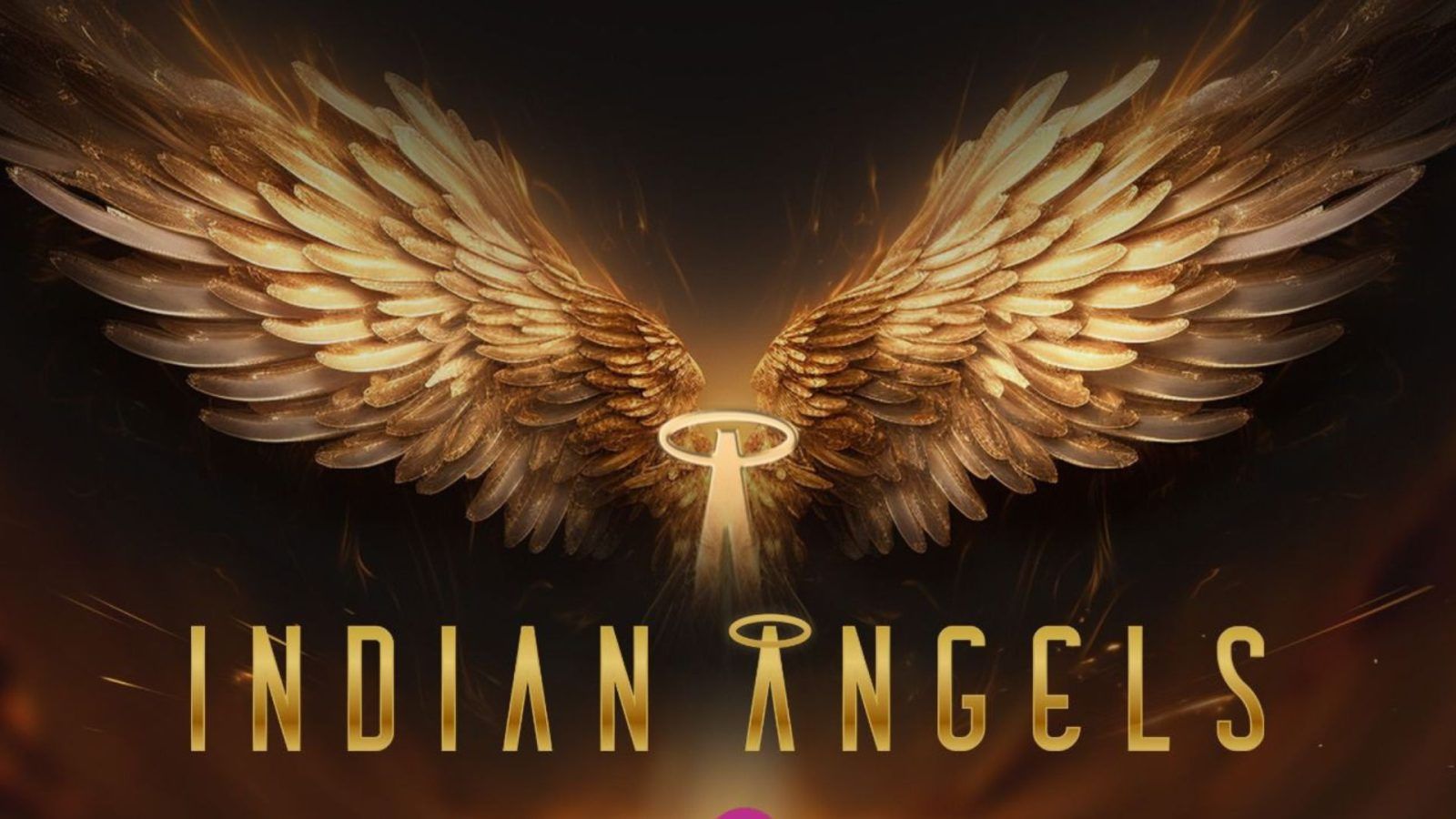 Indian Angels: All we know about the stock market TV show