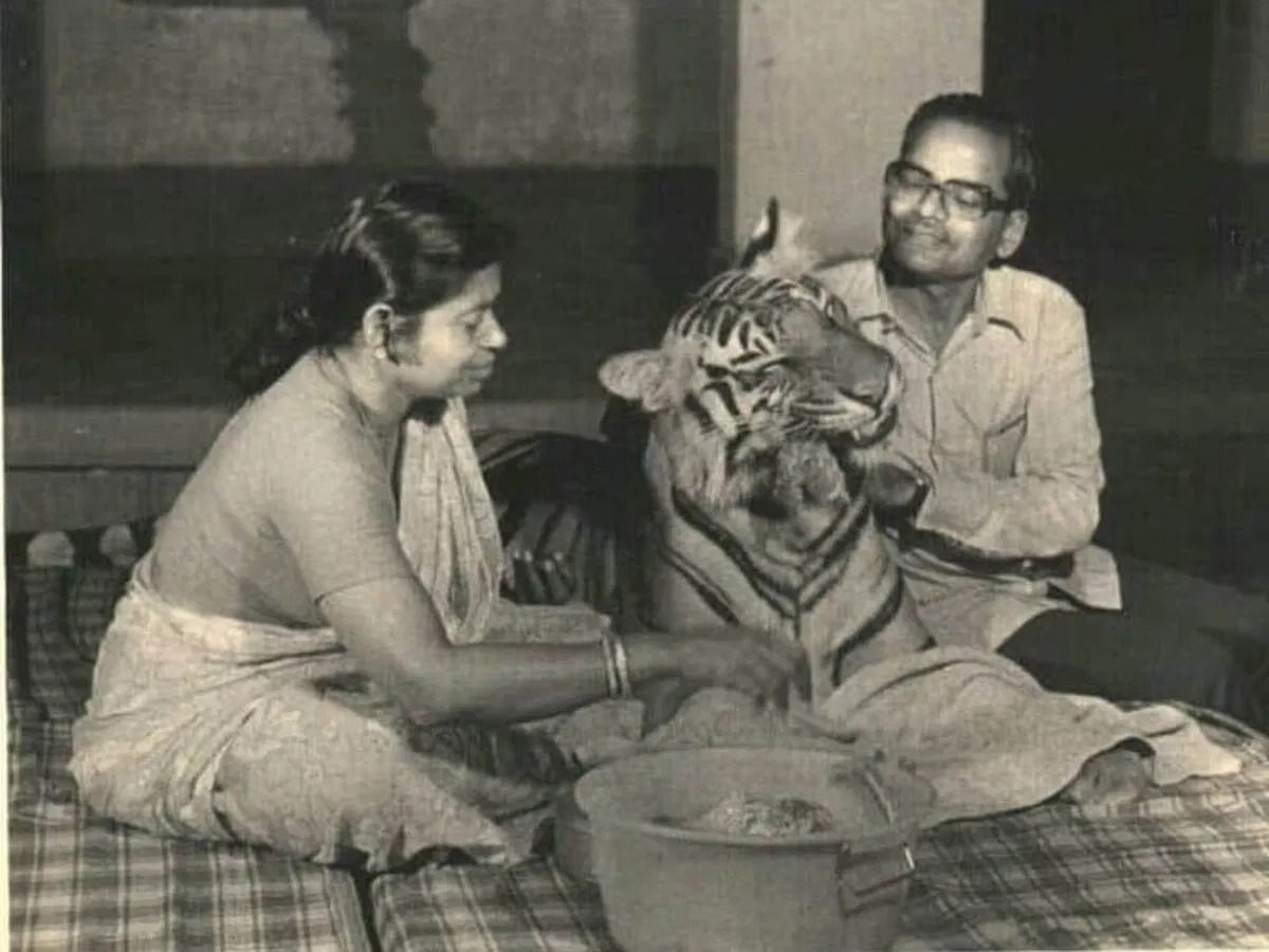 Royal Bengal Tiger: India’s hidden contribution to the world of Luxury