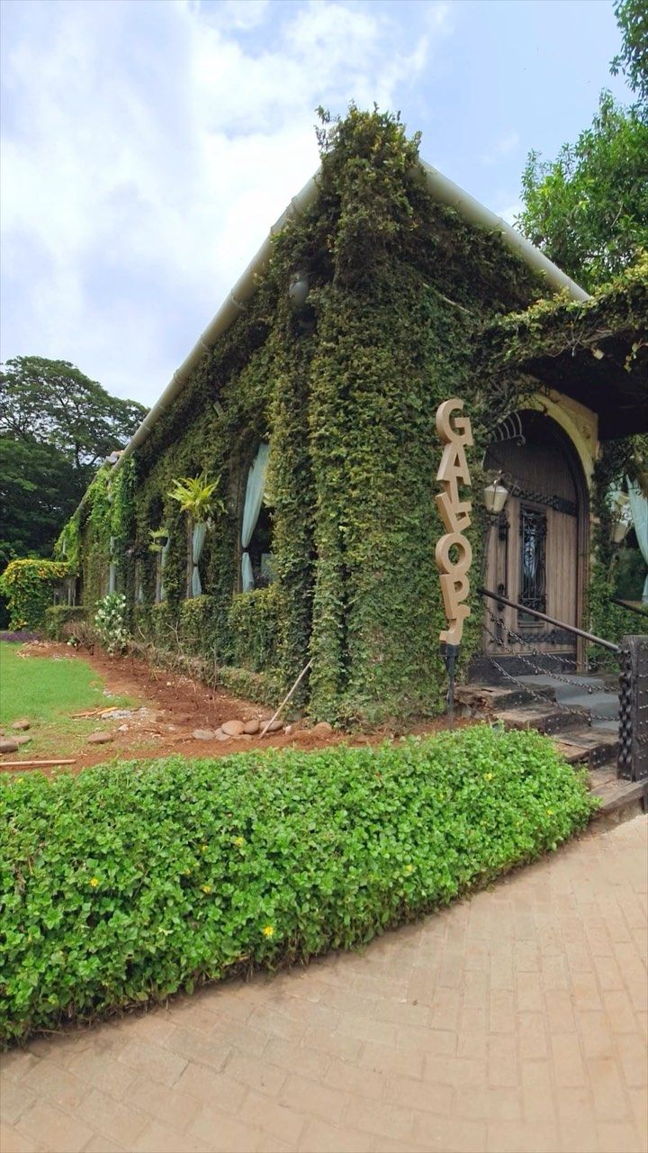 Gallops restaurant: Enjoy a hearty meal at this South Mumbai eatery