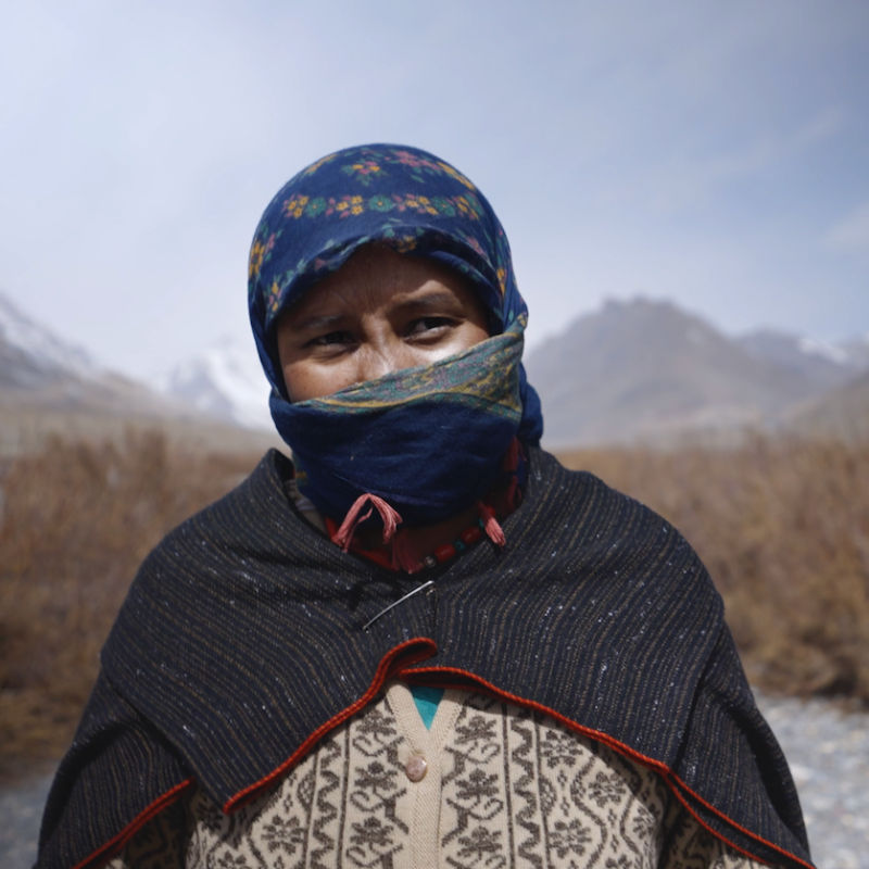 ALT EFF 2023 spotlights compelling films on environmental frontlines