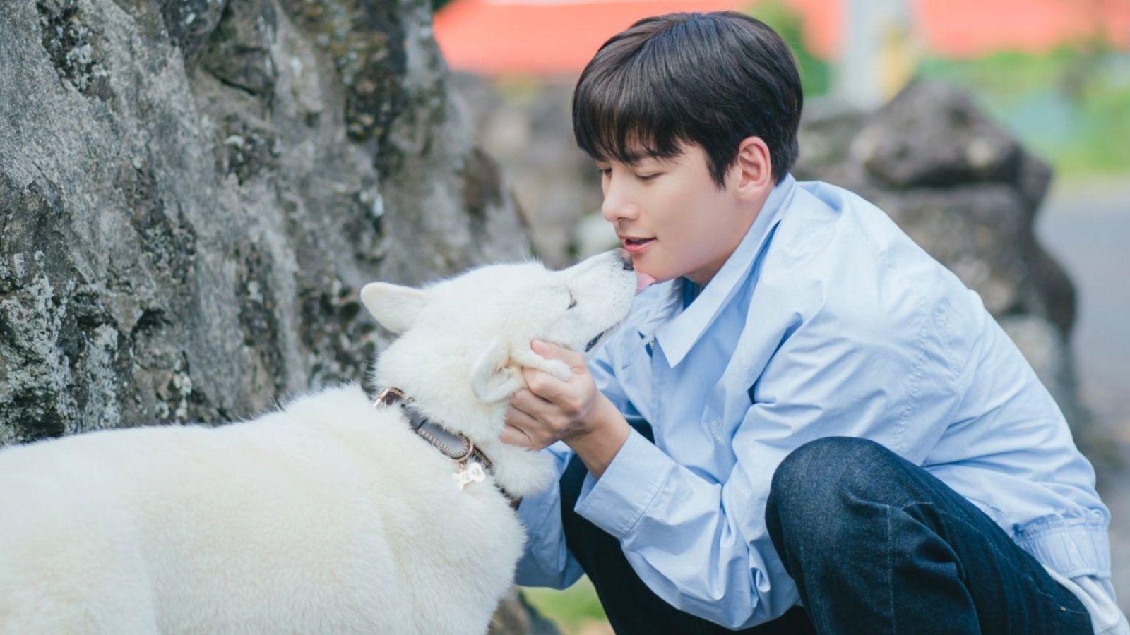 Ji Chang-wook net worth, brand deals and more | Lifestyle Asia India