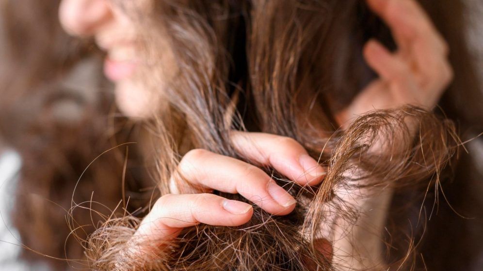 Damaged hair treatment solutions that are best suited for winters