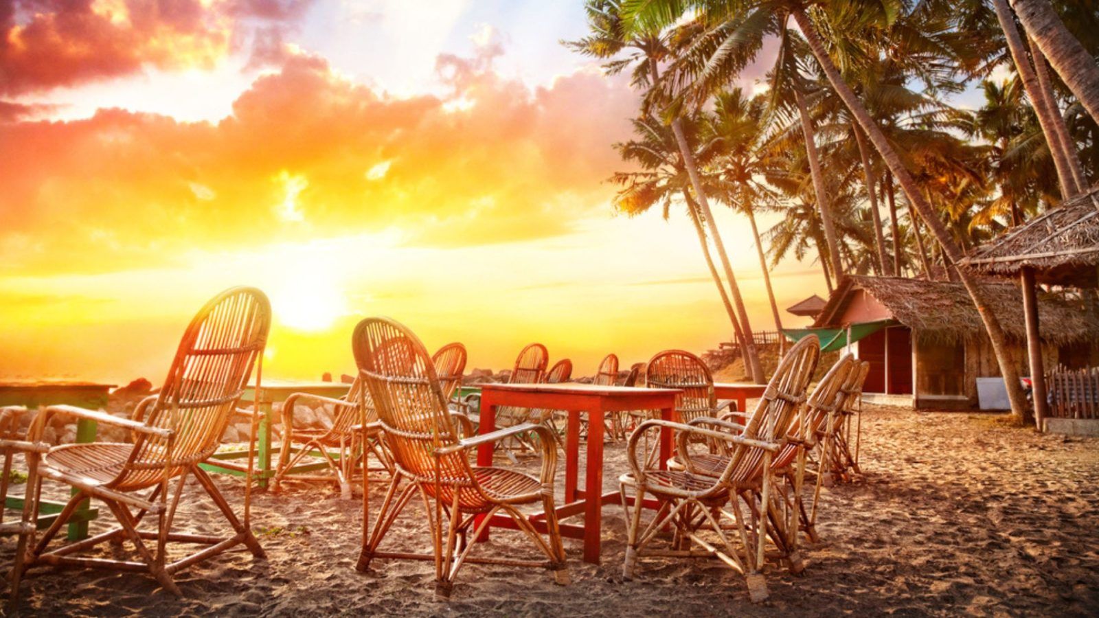 New restaurants in Goa in 2024: Indulge in a feast at these spots
