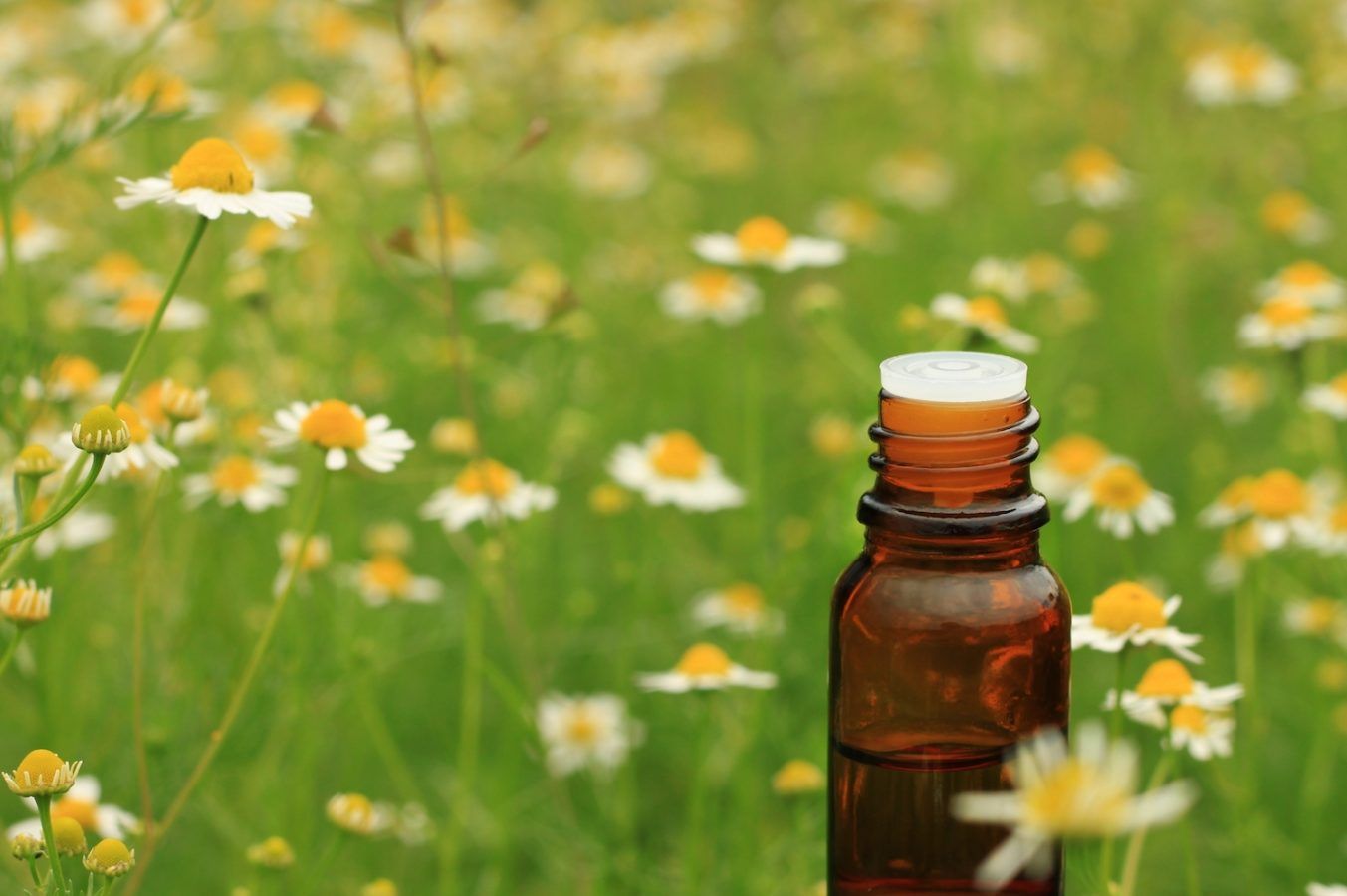 All we need to know about new skincare ingredient- Bisabolol