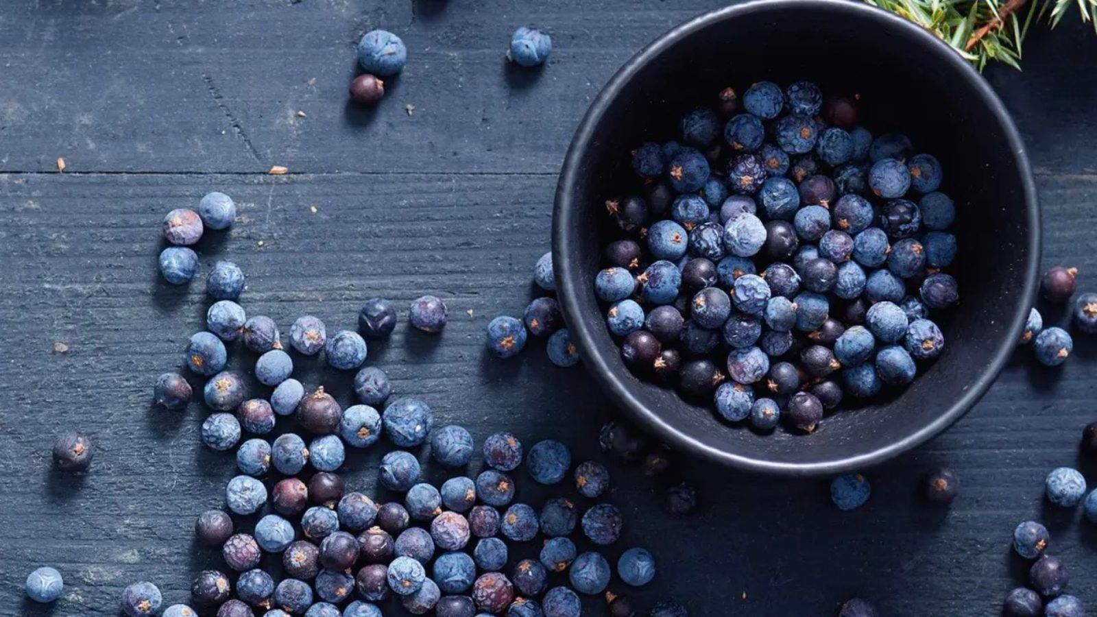 Zoya Special Batch Gin: All you need to know about this premium drink