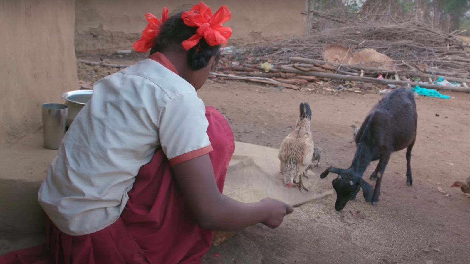 The true story behind Oscar-nominated documentary To Kill A Tiger