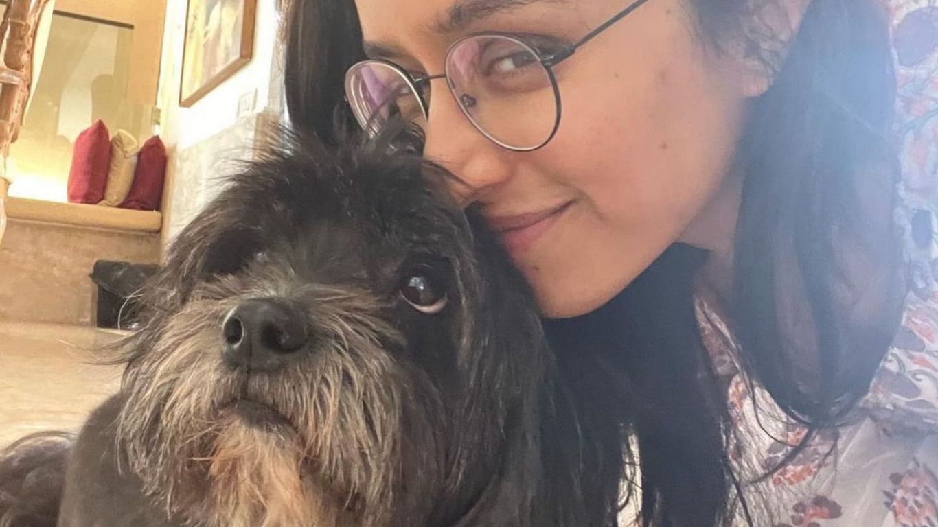 Bollywood celebrities pets: A look at the exquisite life of these furry ...