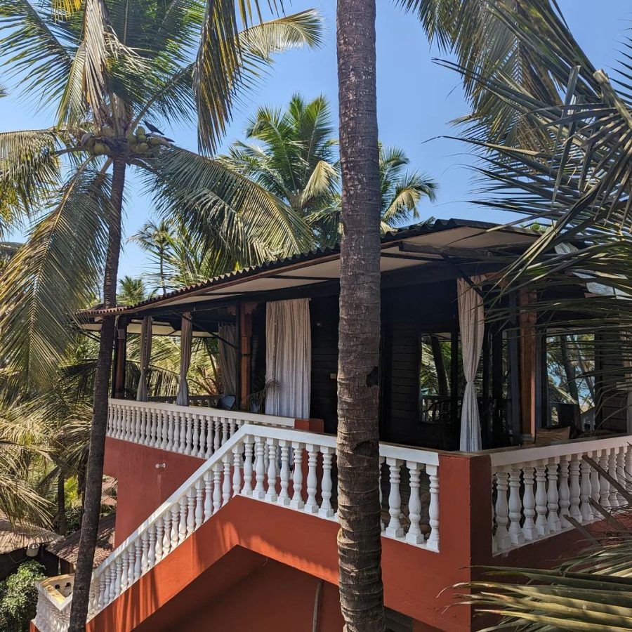 A guide to the purrfect pet-friendly vacation in Goa