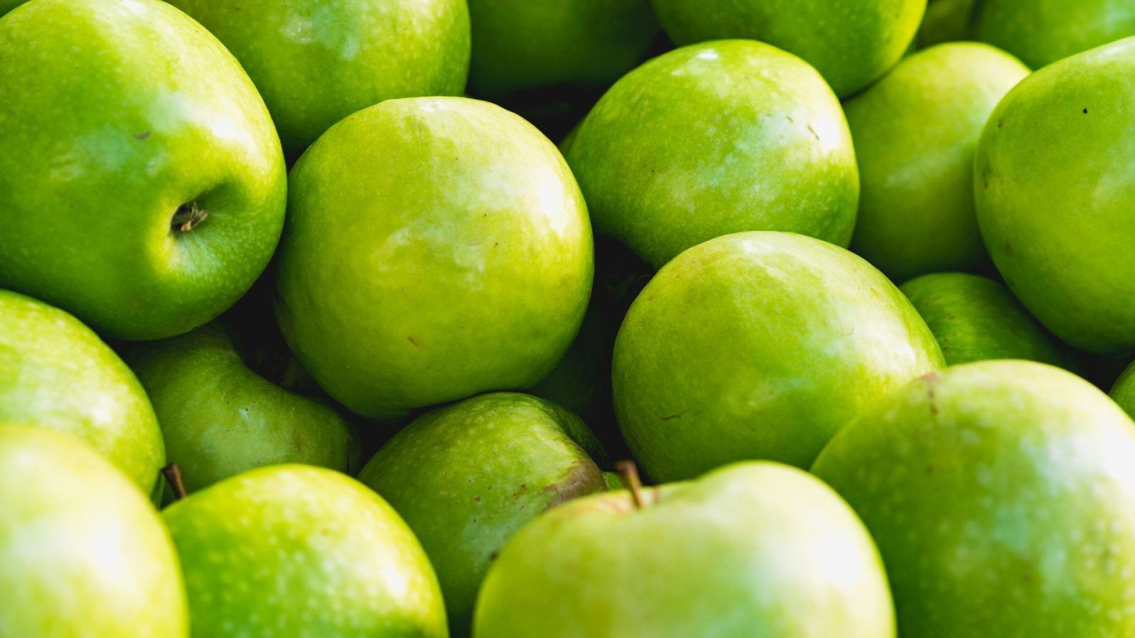 Unlucky and lucky colours for Taurus: Which colour suits Taureans?