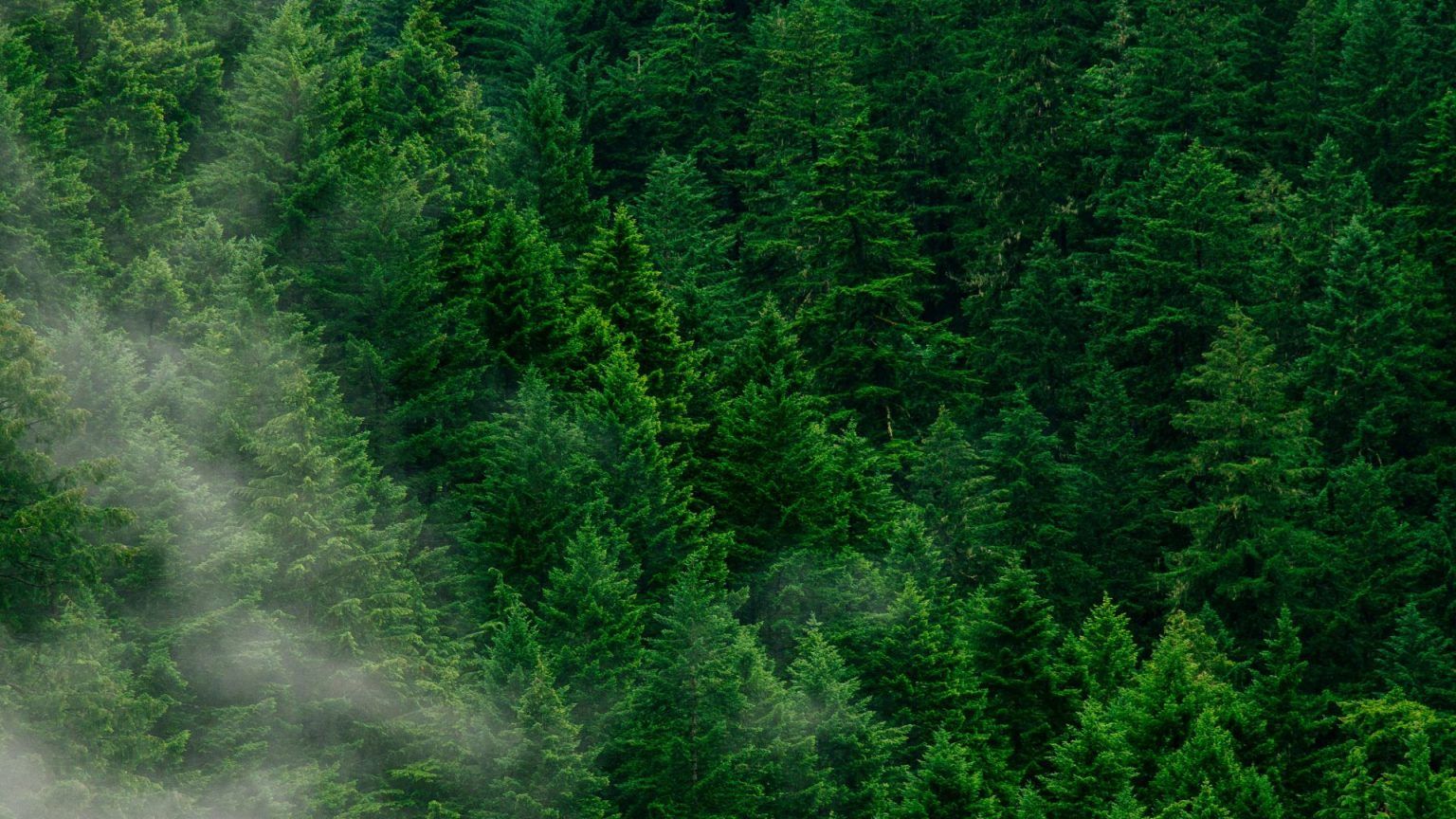 Lucky colour for Taurus: Which hues should you opt for? | LSA India