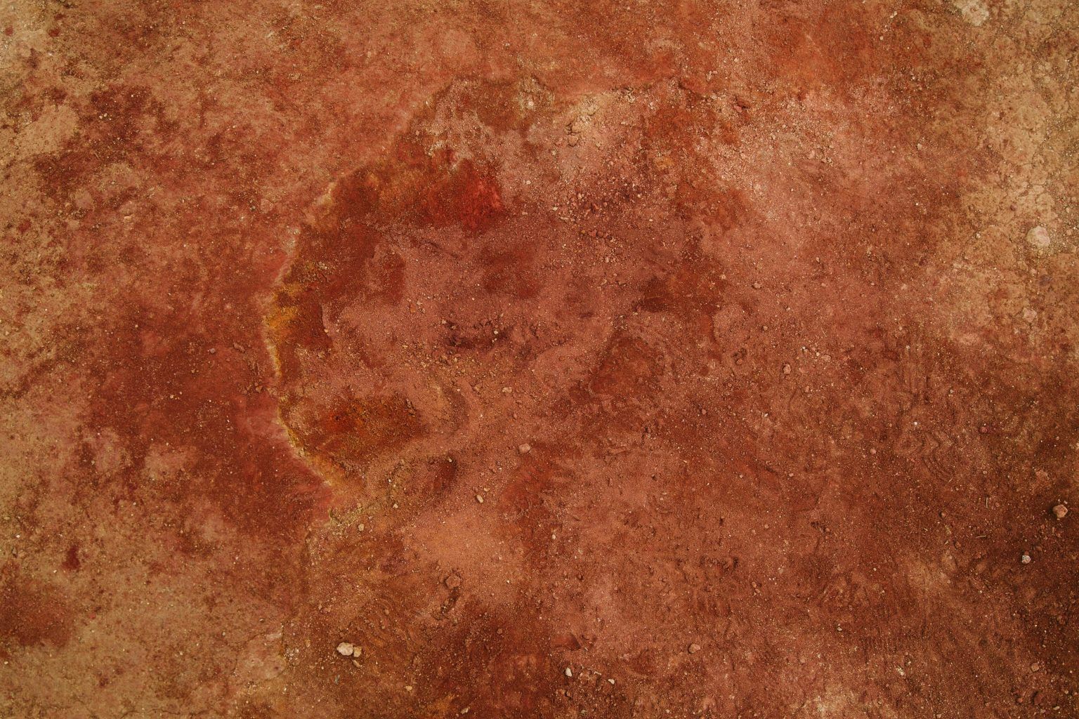 Lucky colour for Taurus: Which hues should you opt for? | LSA India