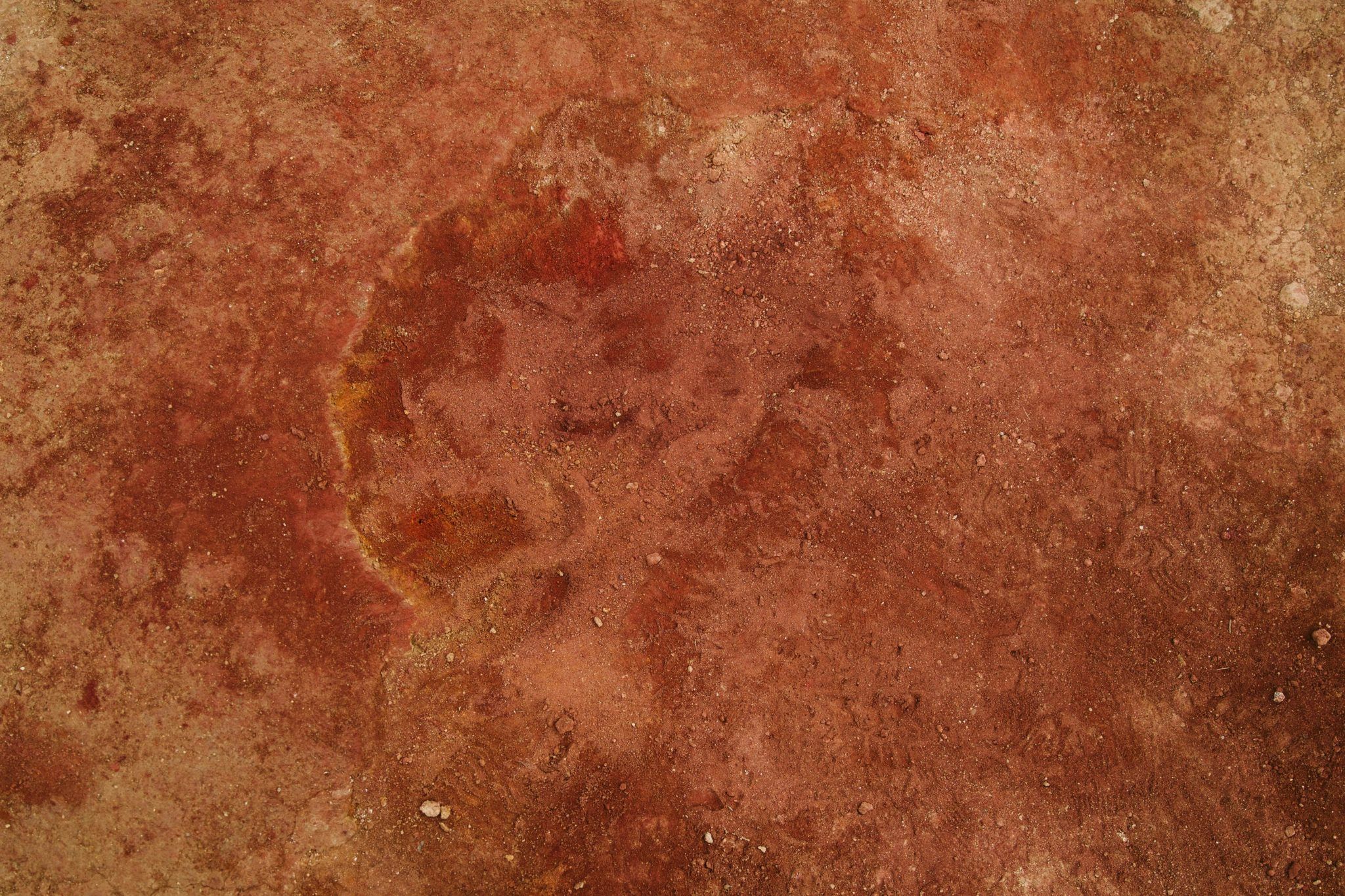 Lucky colour for Taurus: Which hues should you opt for? | LSA India