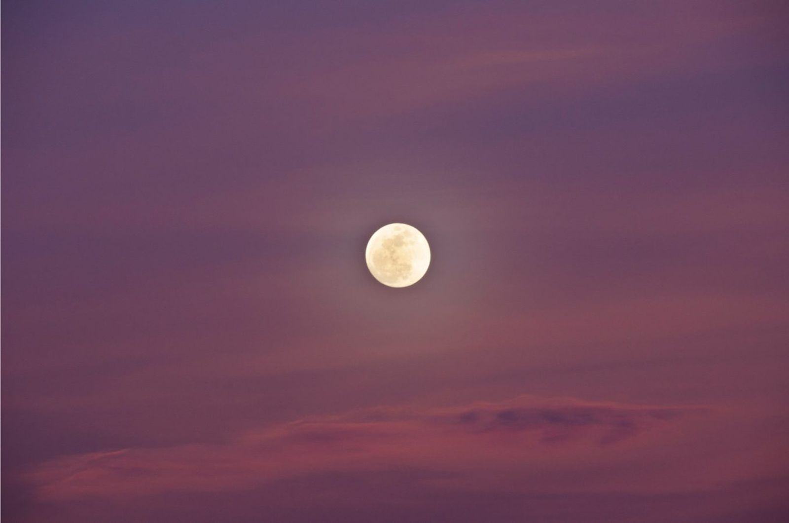 April Pink Moon 2024: How this April full moon will affect your zodiac sign