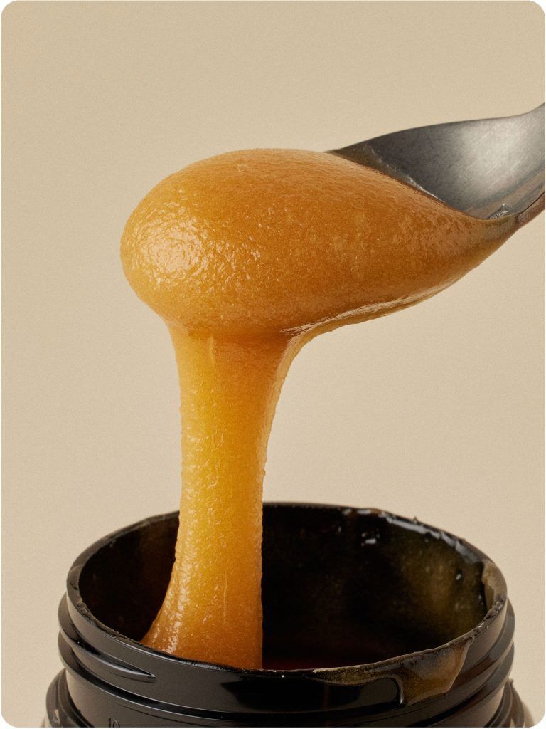5 most expensive honey found in the world