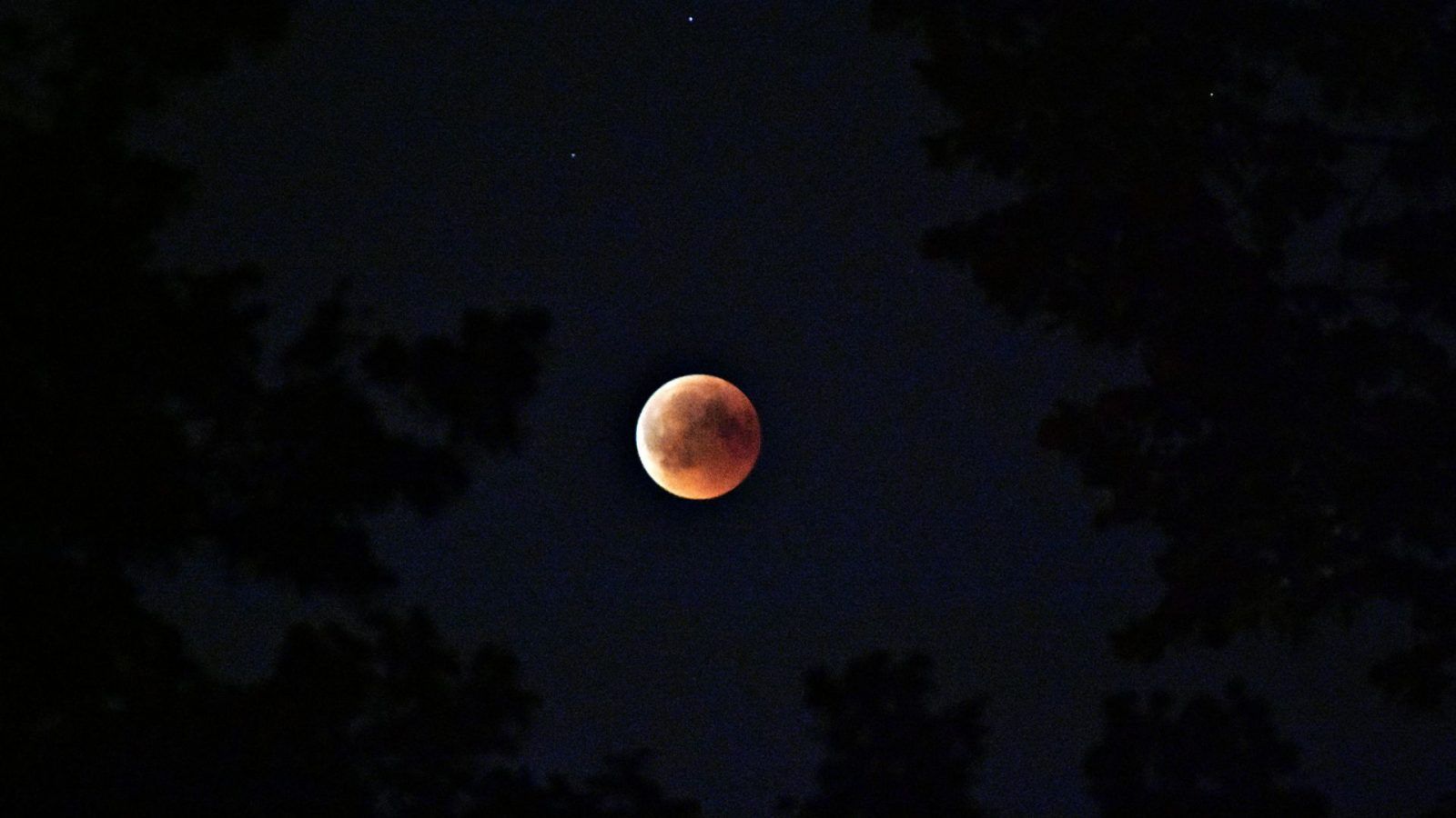 Full moon May 2024: What it means for zodiac signs | Lifestyle Asia India