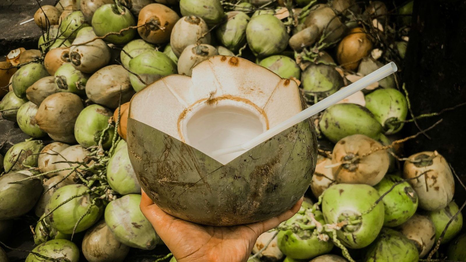 Fresh coconut water health benefits: Nutrients, recipes and more